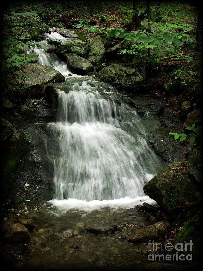 Rill Photograph by Priscilla Richardson - Fine Art America