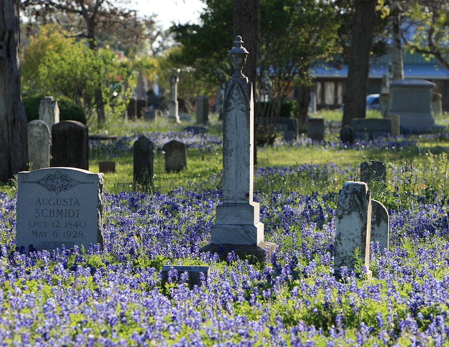 RIP Photograph by Everett Timberlake - Fine Art America