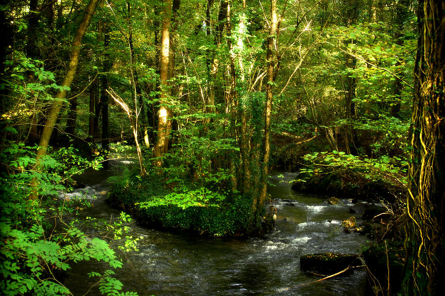 River Eea Photograph by Peter Jenkins - Pixels