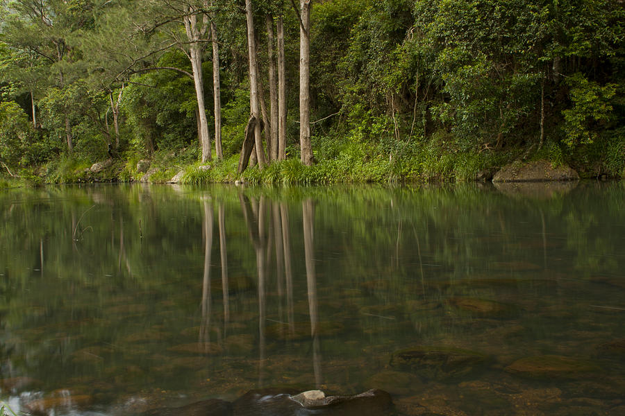 River Reflections Photograph by Paul Robb - Fine Art America