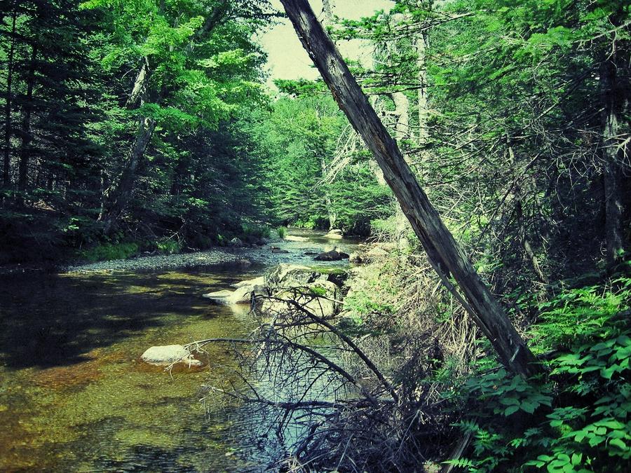 River side Photograph by Tim Thoms - Fine Art America