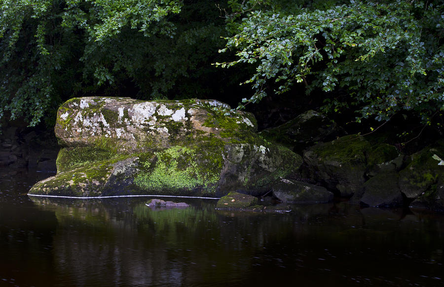 Riverside Rock Photograph by John Cox - Fine Art America