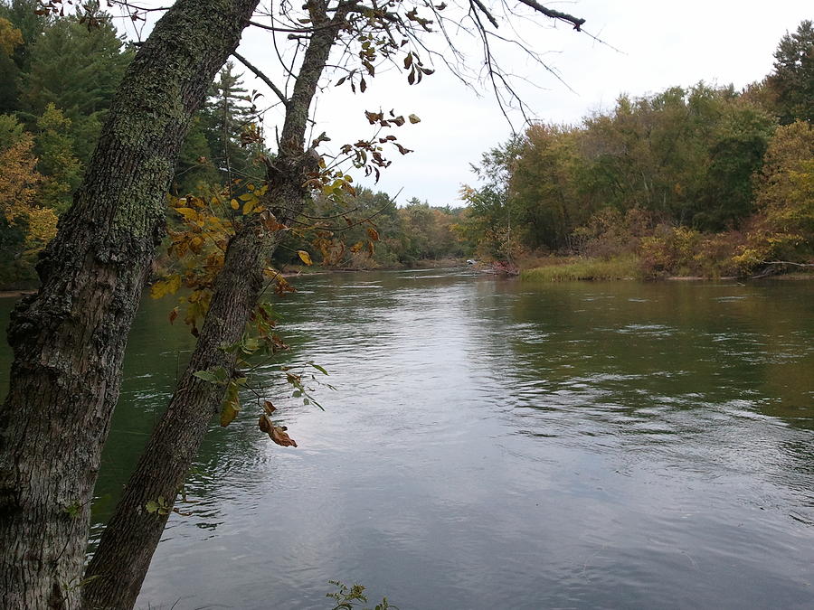 Riverview Photograph by Chrissy Harmon - Fine Art America