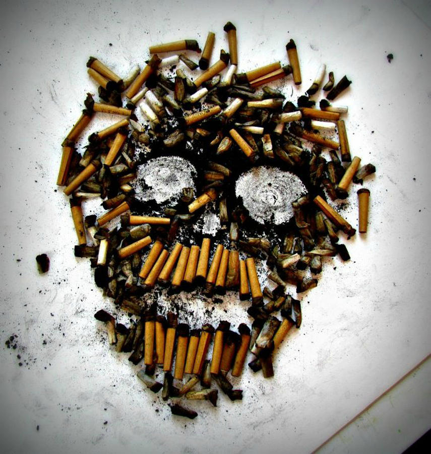 Roach Skull Photograph by Brandon Douglas - Fine Art America