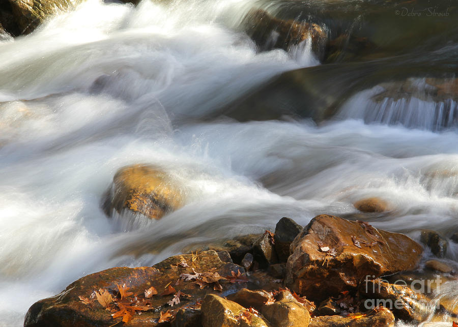 Roaring Tranquility Photograph by Debra Straub - Fine Art America