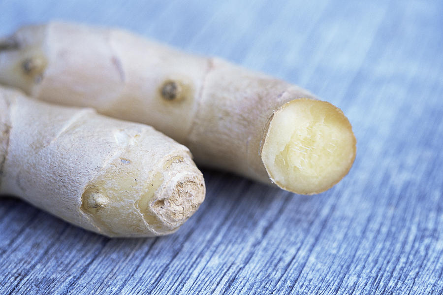 Root Ginger by Maxine Adcock / Science Photo Library