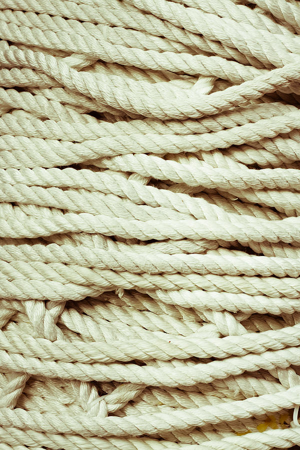 Rope Photograph by Tom Gowanlock - Fine Art America