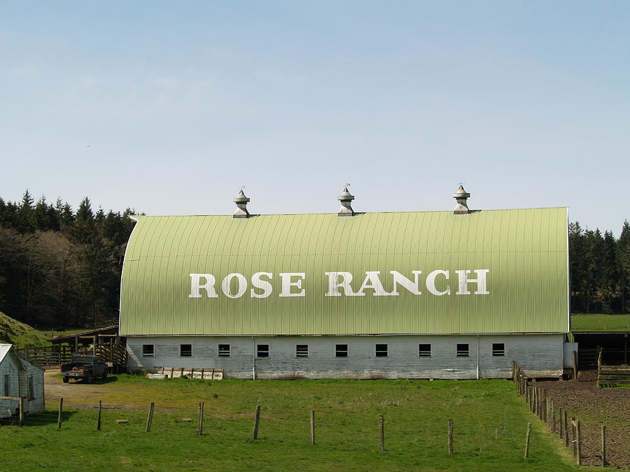 Rose Ranch barn Photograph by Angela Gemmer - Fine Art America