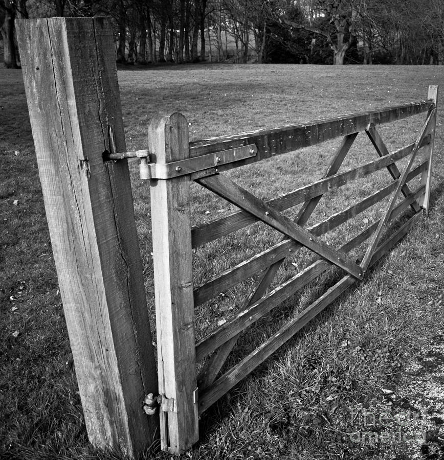 Rugged Gate Photograph by Carl Gibson - Fine Art America