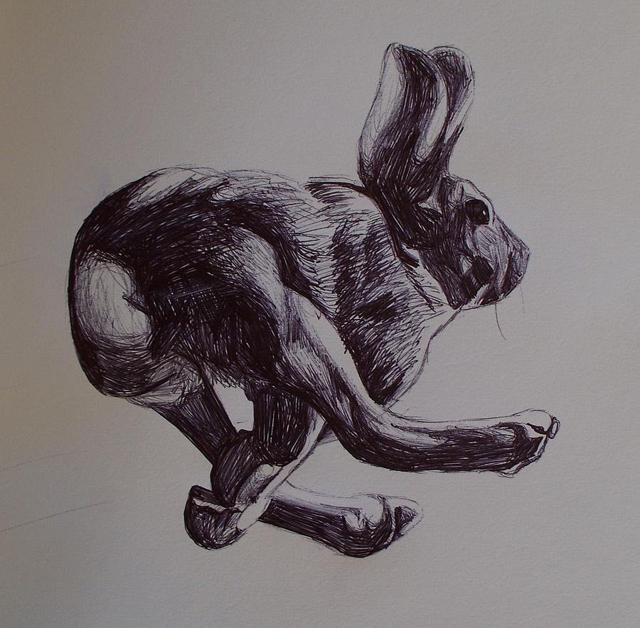 Rabbit Running Drawing
