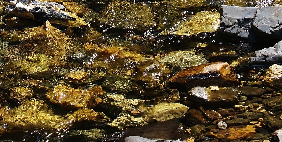 Running Stream Photograph by Bruce Bley - Pixels
