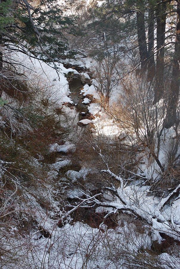 Running water Photograph by Cheryl Adams - Fine Art America