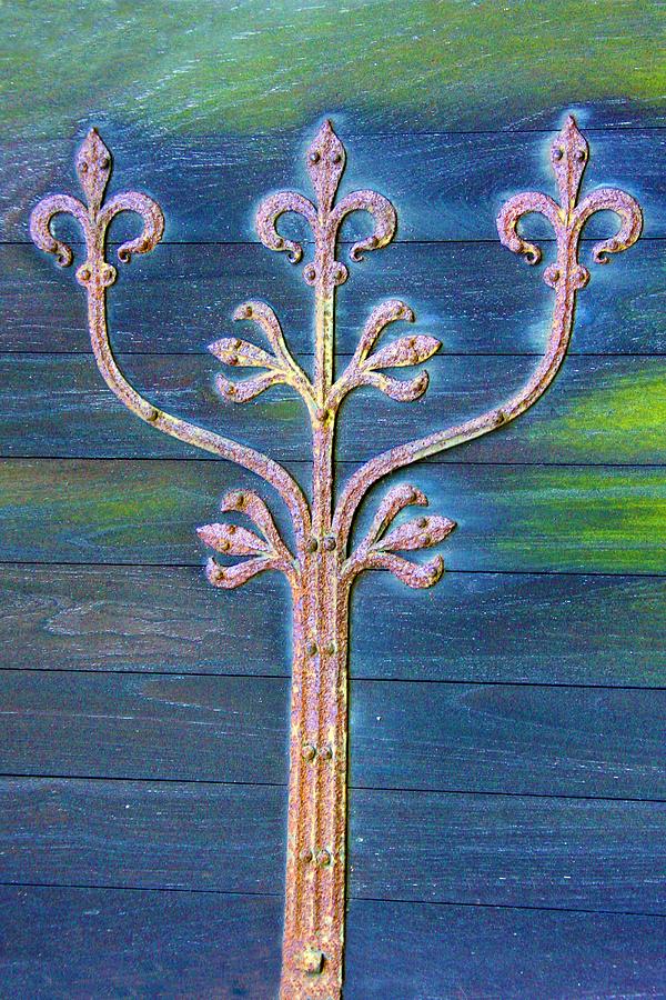 Rust tree Photograph by Ed Lukas - Fine Art America