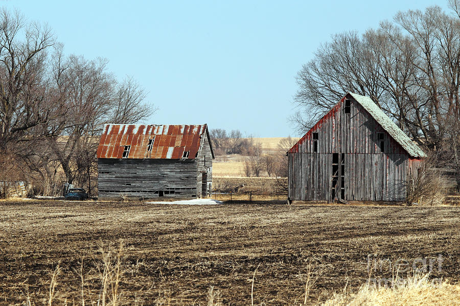 Rustic Barn 4 Photograph by Rick Mann - Fine Art America