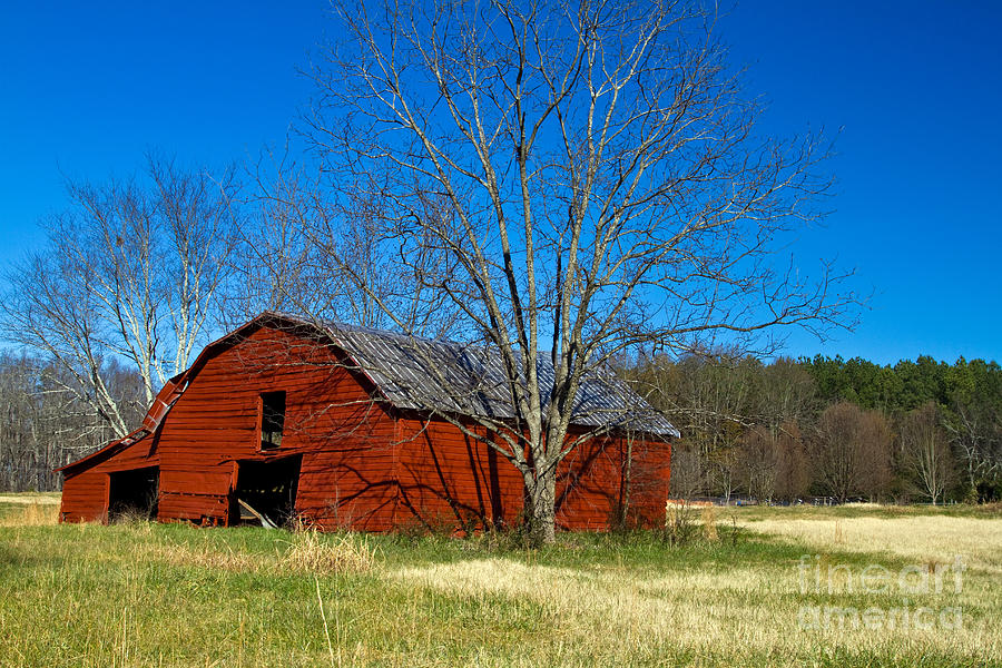 Rustic Barn 5 Photograph by Rick Mann | Fine Art America