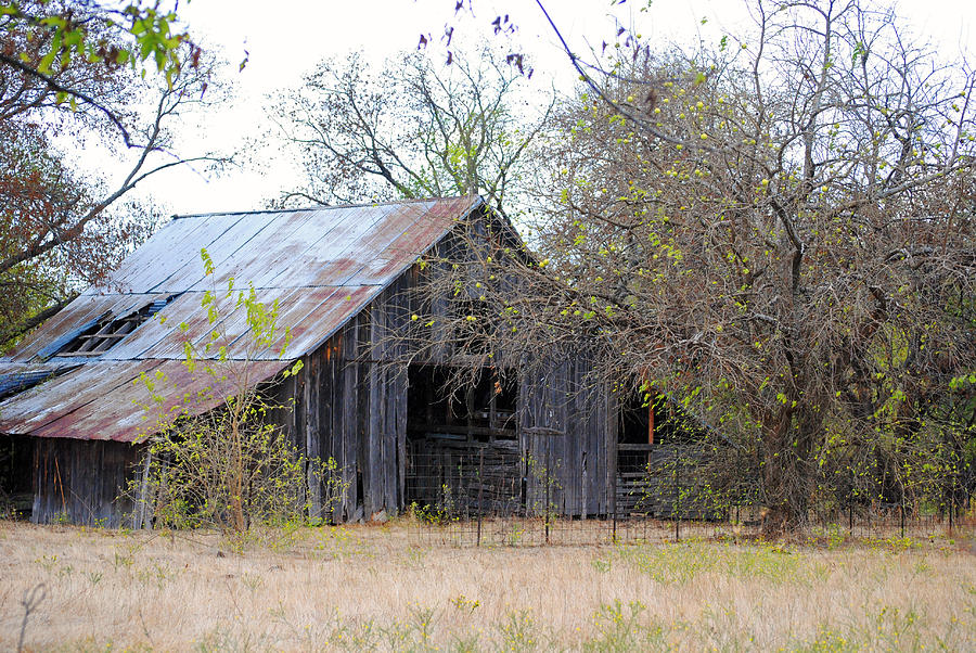 Rustic Barn Photograph by Lisa Moore - Pixels