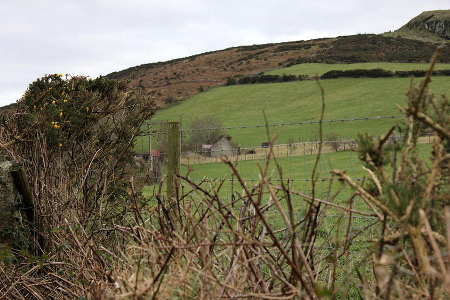 Rustic Irish landscape 2 Photograph by Joseph Doyle - Fine Art America
