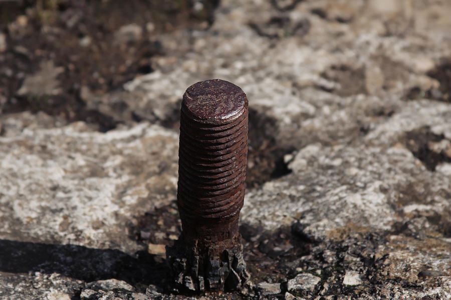Rusty Bolt Photograph by Luke Robertson - Fine Art America