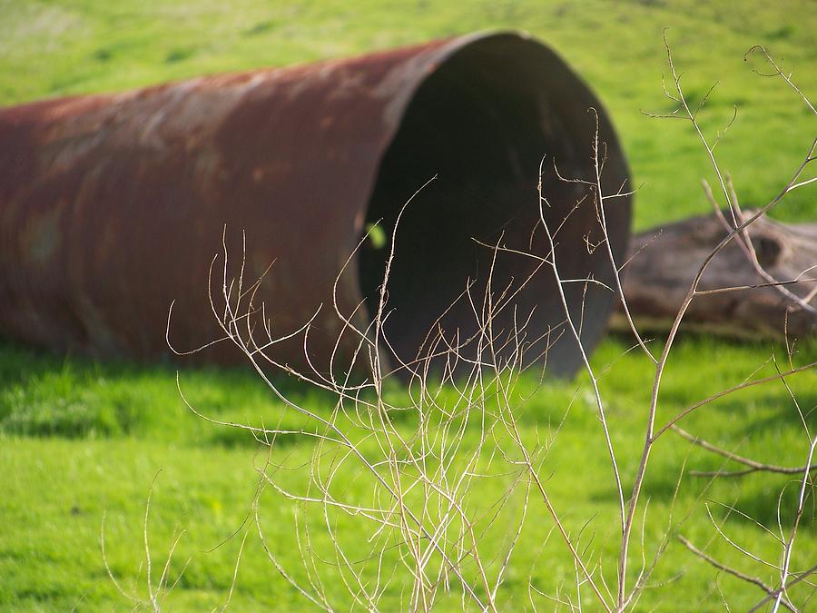 Rusty Pipe Photograph by Maggie Cruser - Fine Art America