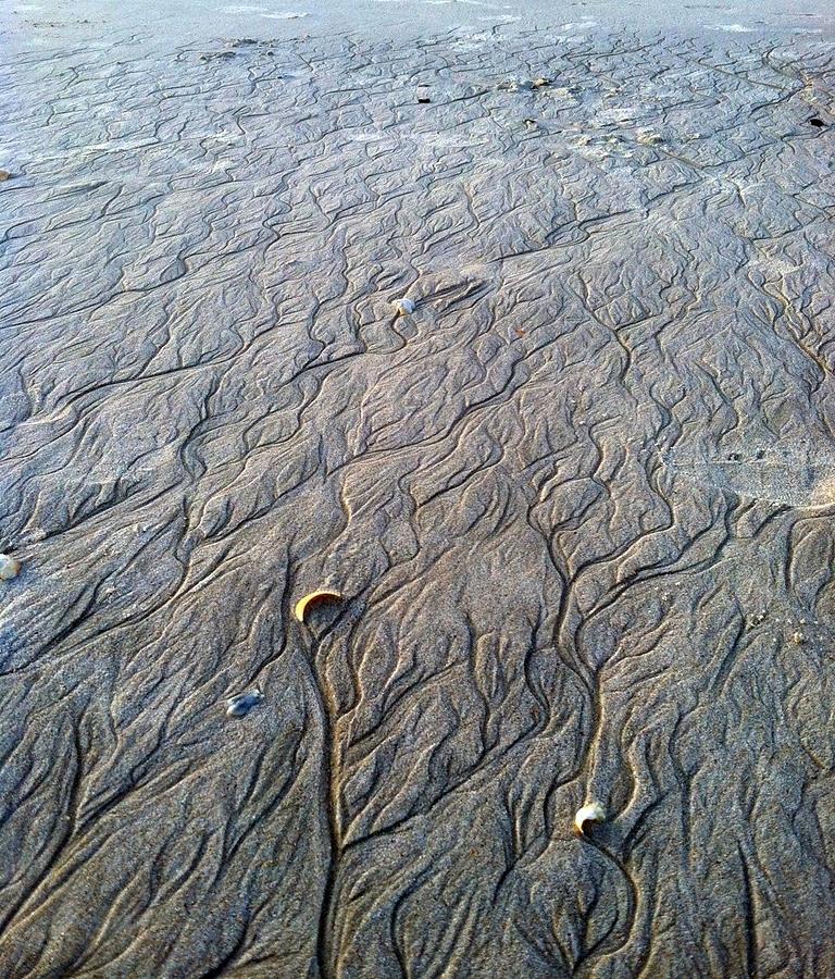 Sand Delta Photograph by Jessica Yudis - Pixels