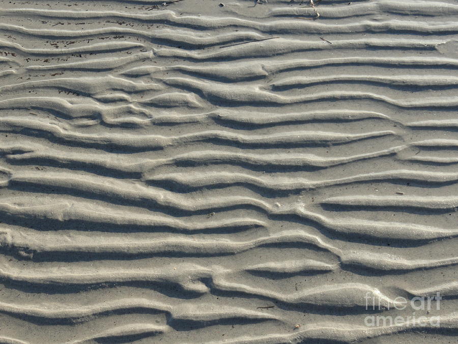 Sand Waves Photograph by Meandering Photography - Fine Art America