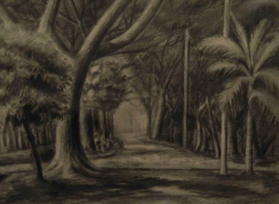 Scatch Drawing by FA Hasan - Pixels