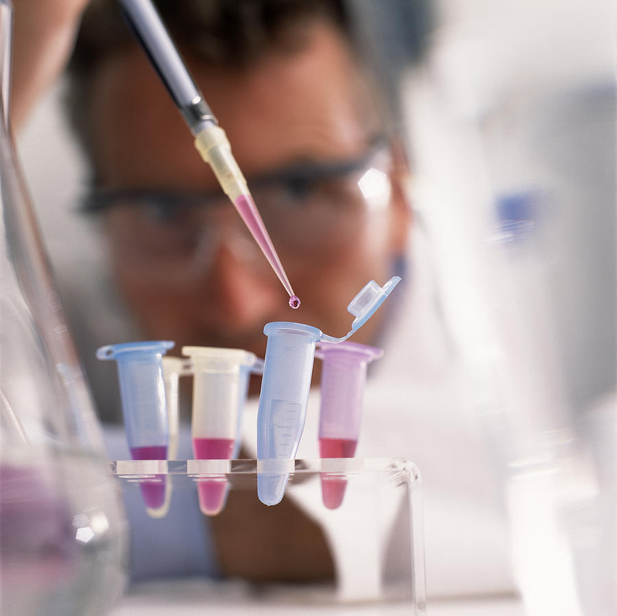 Scientist Pipetting Dna Samples Photograph by Tek Image - Fine Art America
