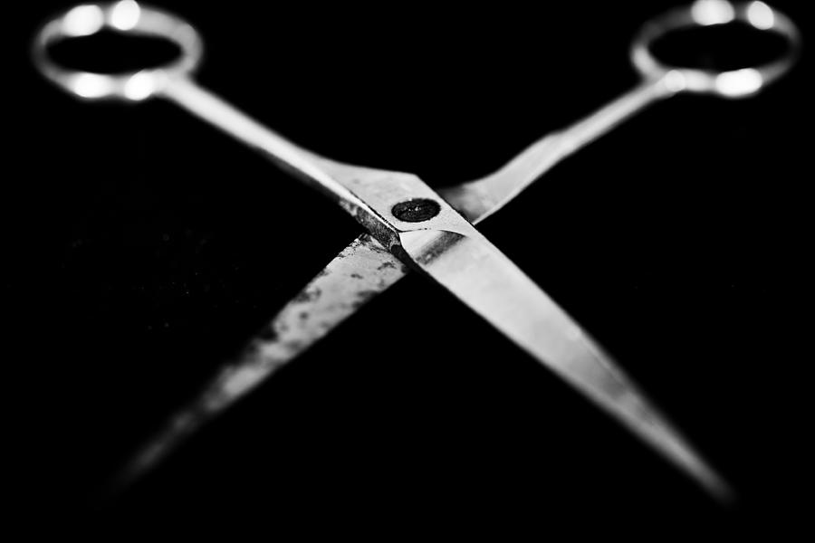 Scissors Photograph by Hakon Soreide - Fine Art America
