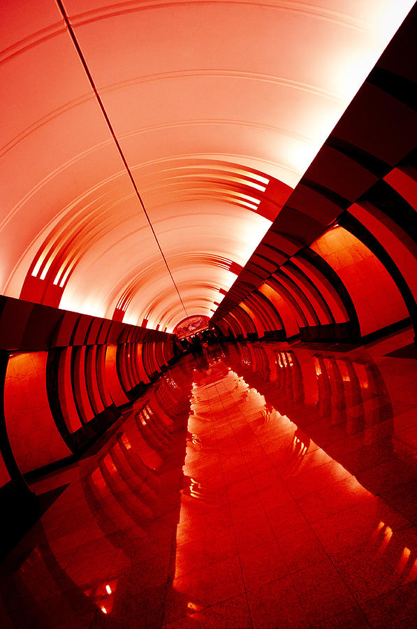 Seeing Red Photograph by Mark Britten - Pixels