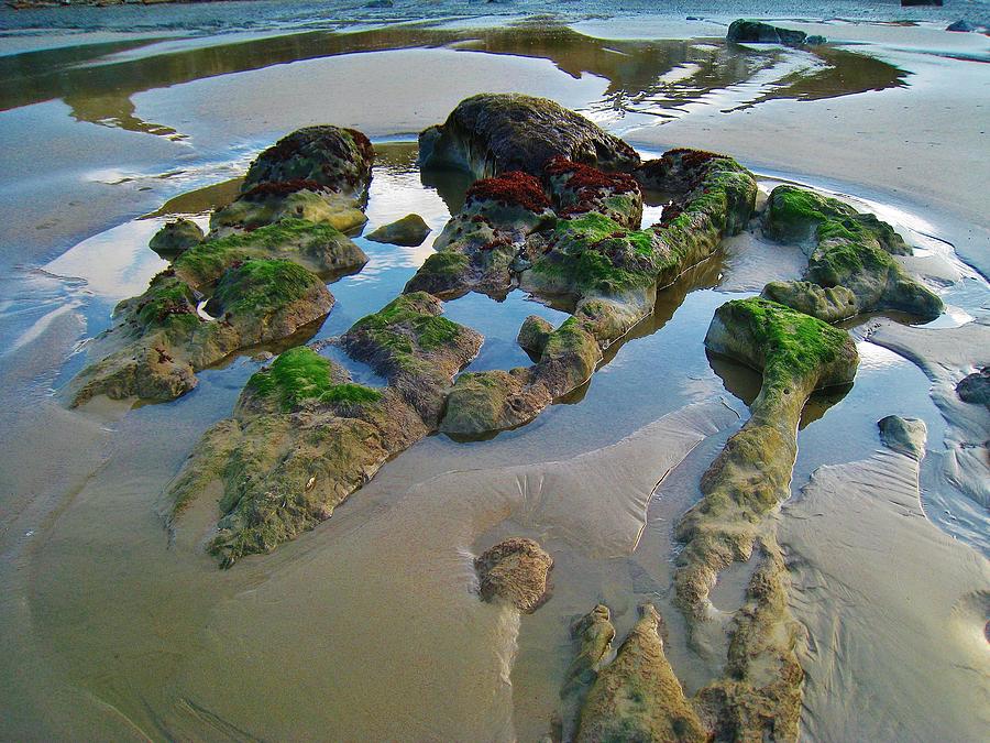 Seven Devils Archipelago Photograph by Forrest Munger - Fine Art America