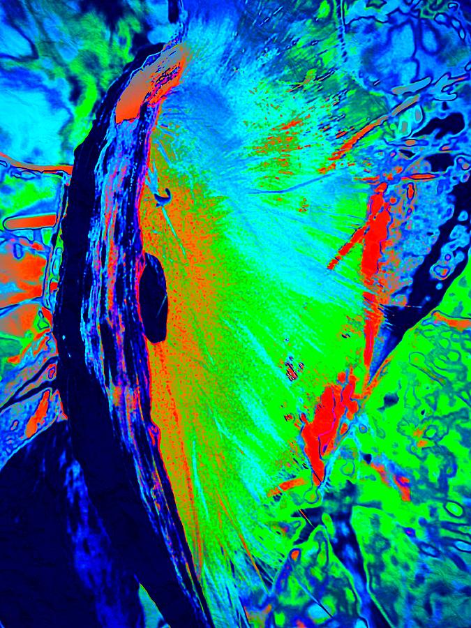 Shaking Things Up a Bit Photograph by Beth Akerman - Fine Art America