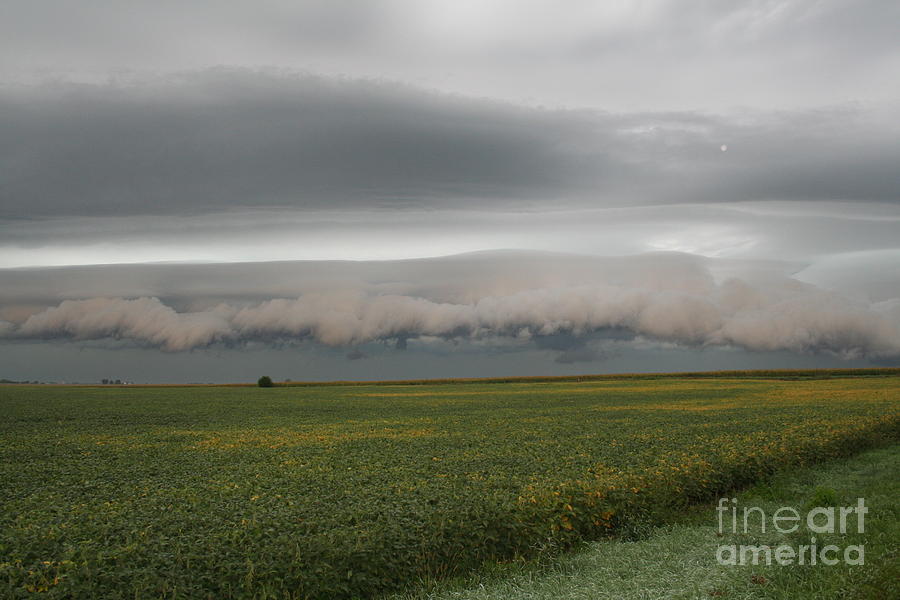 Shelf Cloud 5 Photograph by Roger Look - Fine Art America