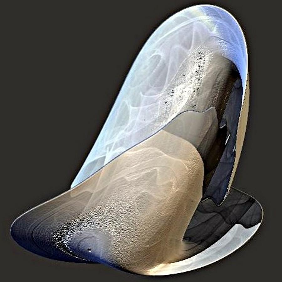 Shell Digital Art by Michael Hickey - Pixels