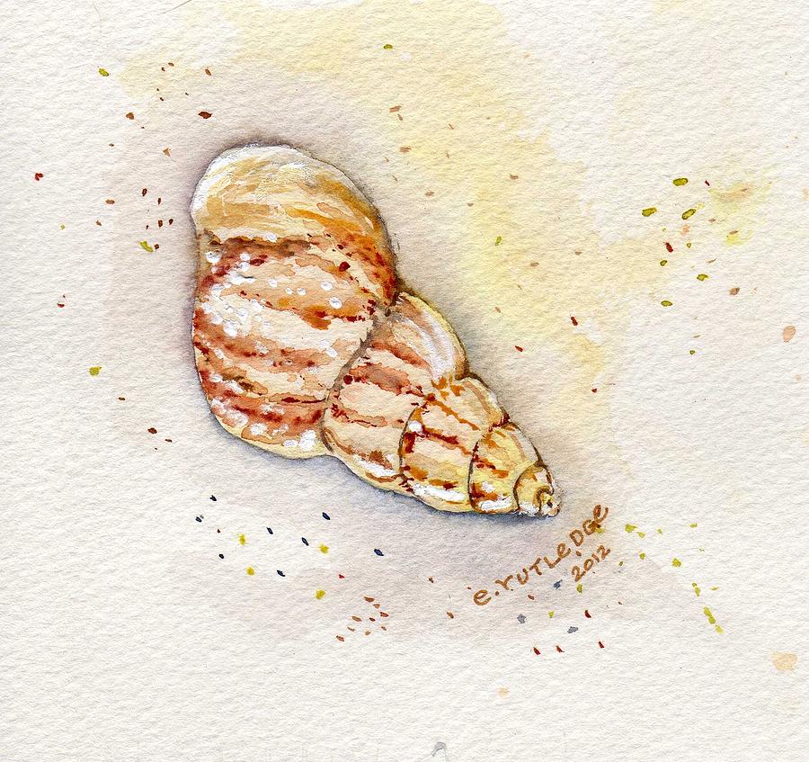 Shell Study #1 Painting by Elaine Rutledge - Pixels