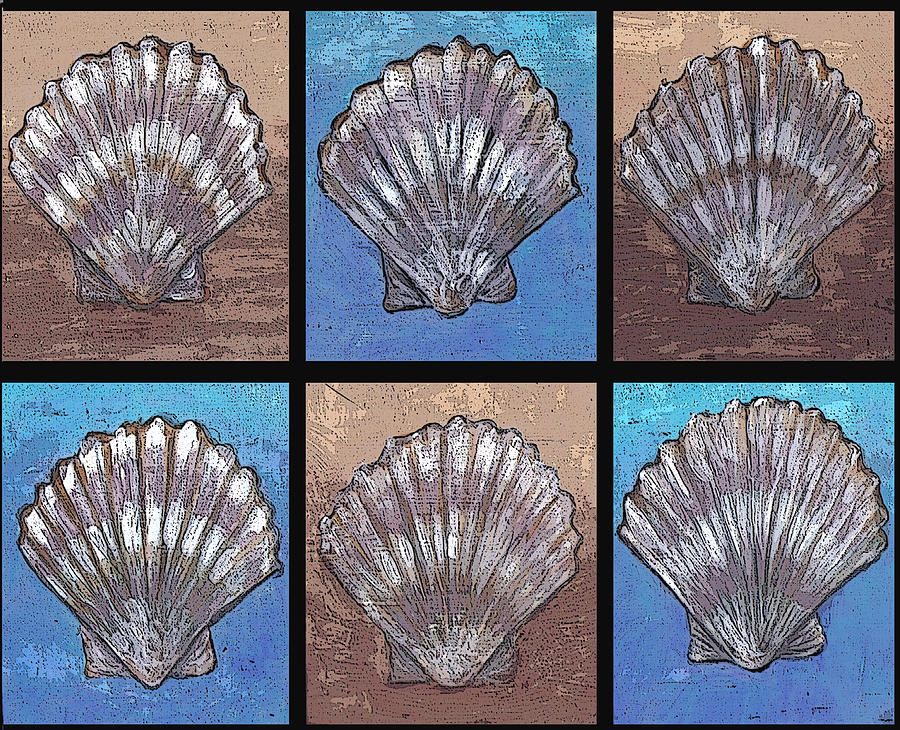 Shells Painting by Edward Walsh - Fine Art America