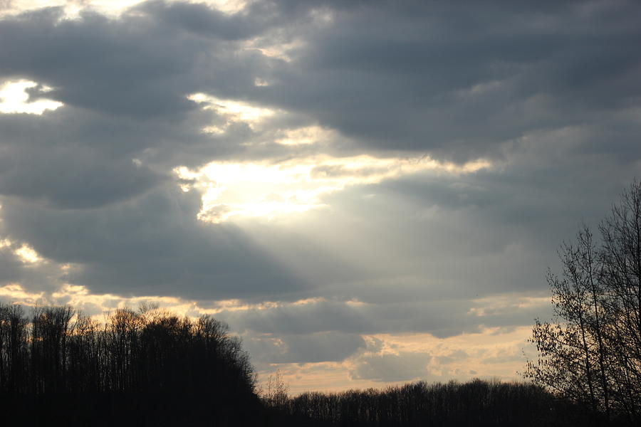 Shining Through Photograph by Static Studios - Pixels