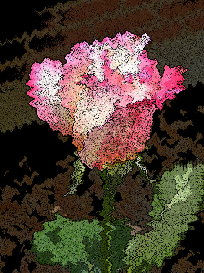 Shock Waves Hit a Rose Bud Today Photograph by Mary Sedivy - Pixels