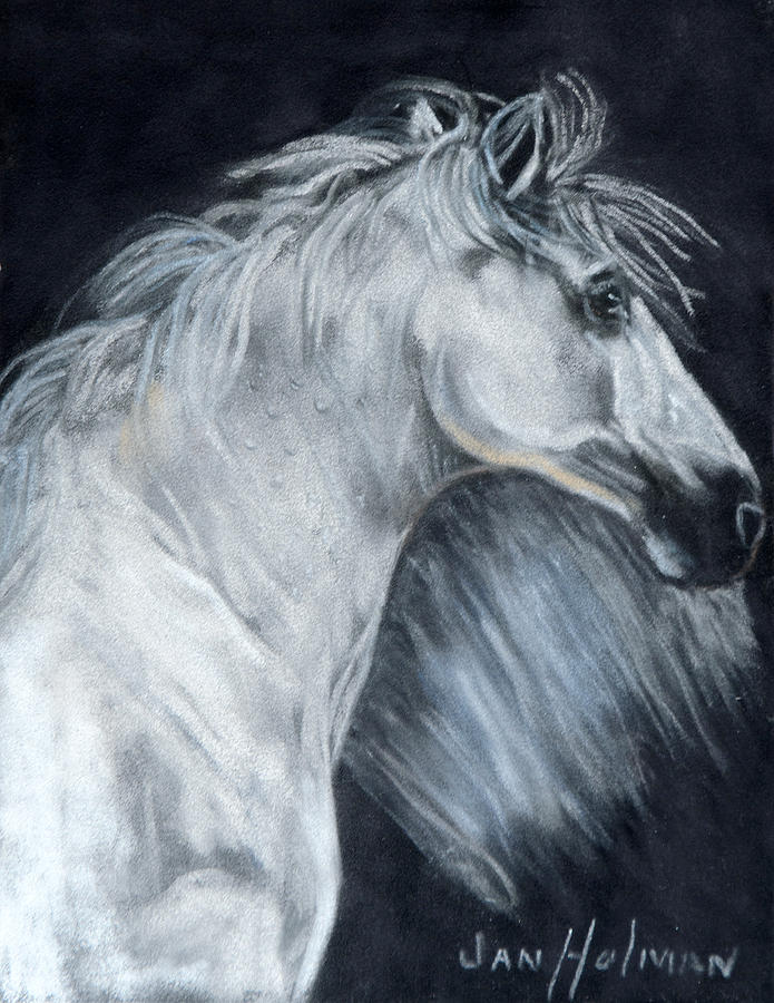 Silver Pastel by Jan Holman - Fine Art America