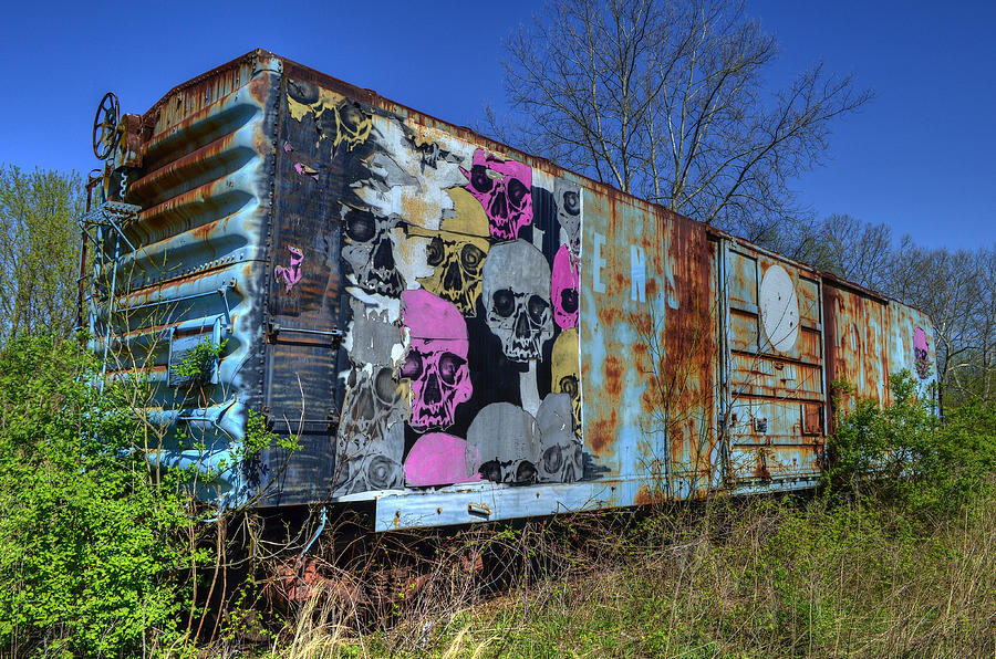 Skull train Photograph by Brian Stevens - Pixels
