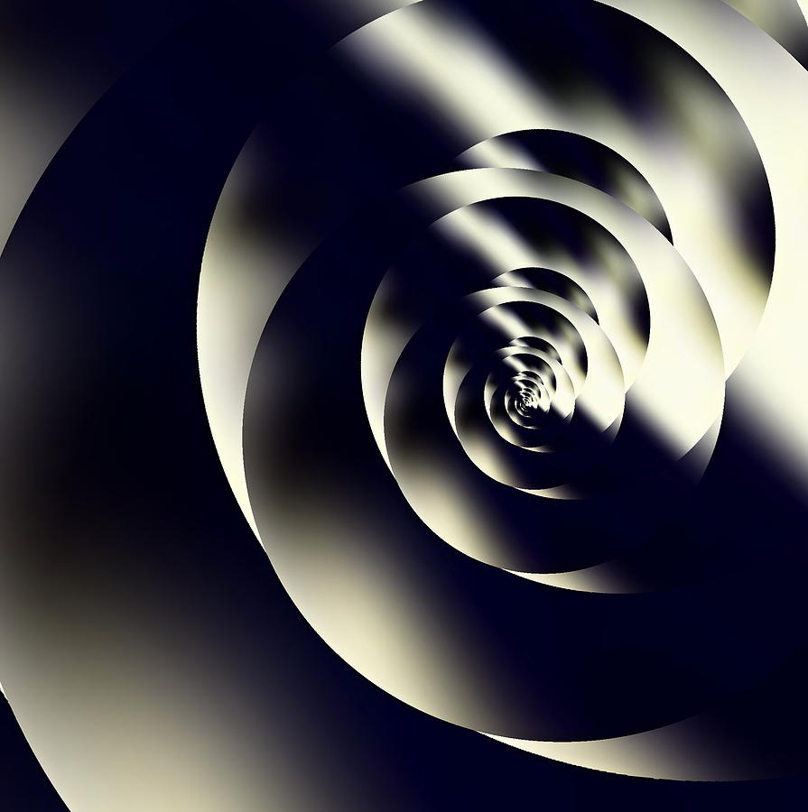 Sleek Modern Snail Photograph by Danielle Parent | Fine Art America