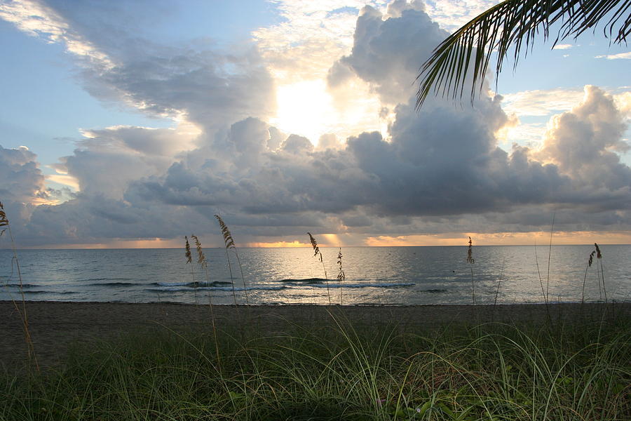 Slow Riser Photograph by Rene Horton - Fine Art America