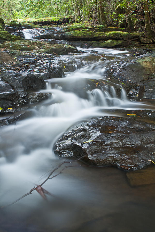 Smooth Flow Photograph by Paul Robb | Fine Art America