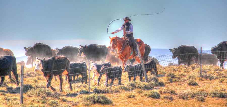 Snapping the Whip Photograph by Vikki Correll | Fine Art America