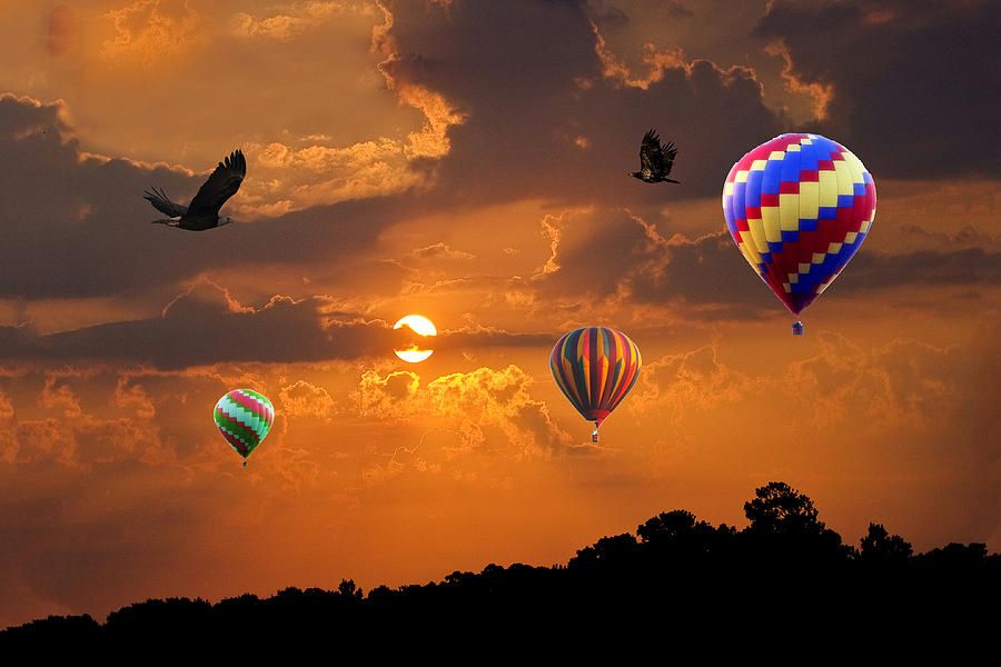 Soaring with Eagles Photograph by Terry Shoemaker - Pixels