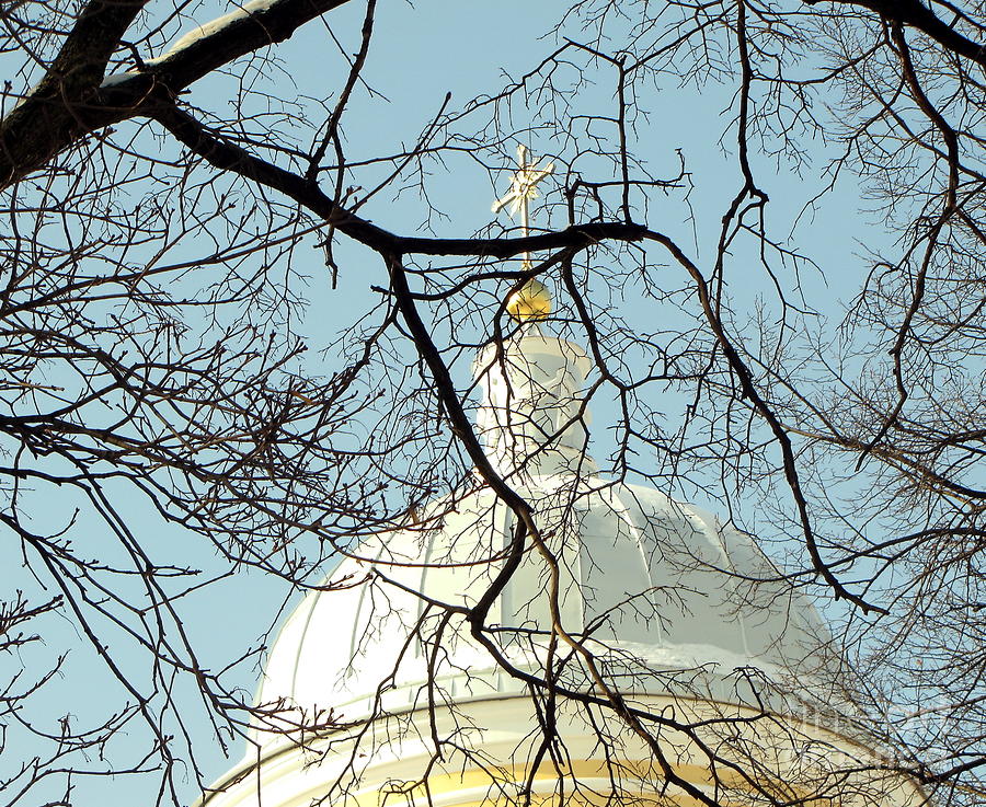 SOBOR into tree Photograph by Yury Bashkin - Pixels