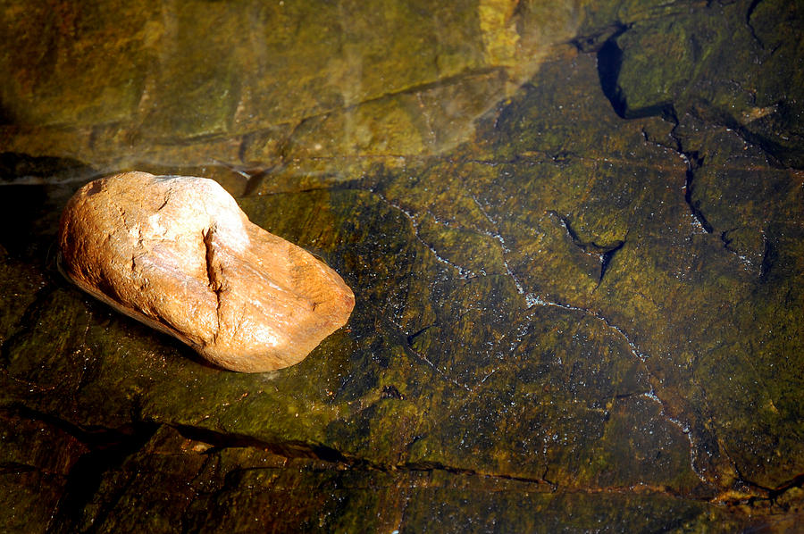 Solid Rock Photograph by Dan Bouffard