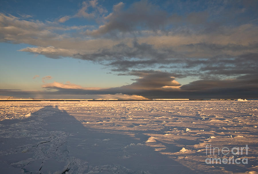 Solid Sea Ice Photograph by Greg Dimijian - Pixels