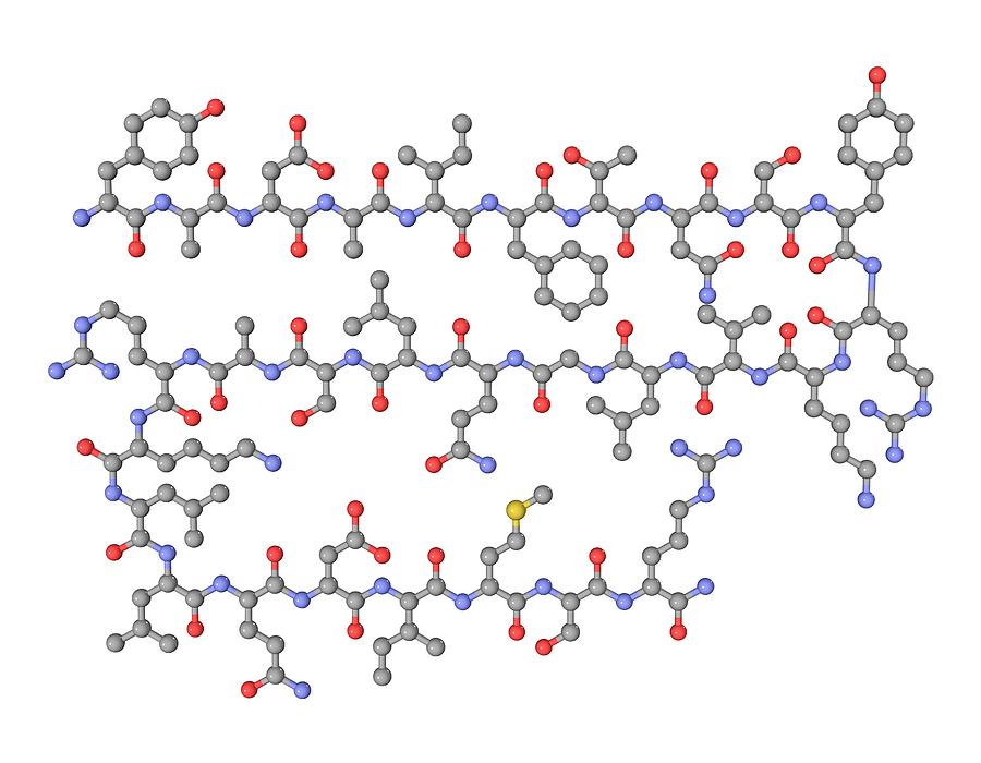 Somatoliberin Hormone Molecule Photograph by Laguna Design - Pixels Somatoliberin Hormone Molecule Photograph by Laguna Design - Pixels