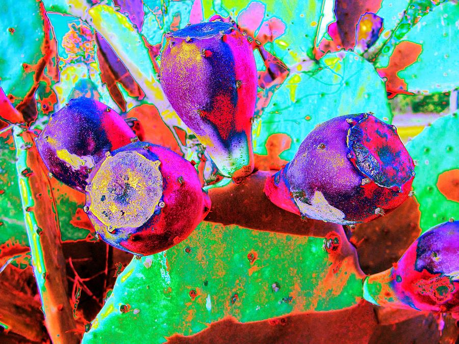 Something Prickly Digital Art by Pam Utton - Fine Art America