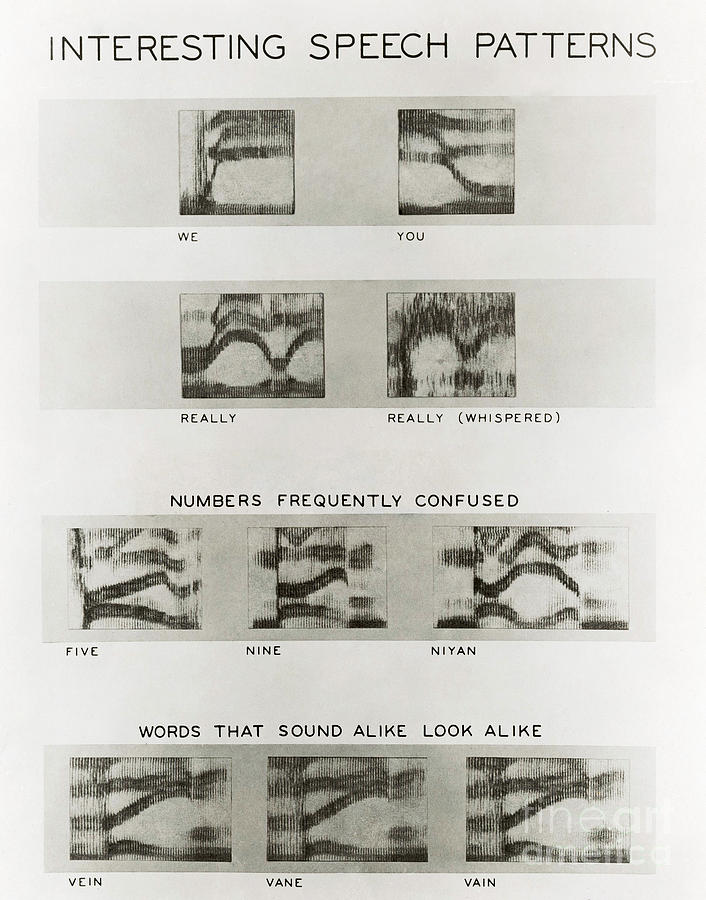 Speech Patterns Photograph by Science Source - Pixels Merch